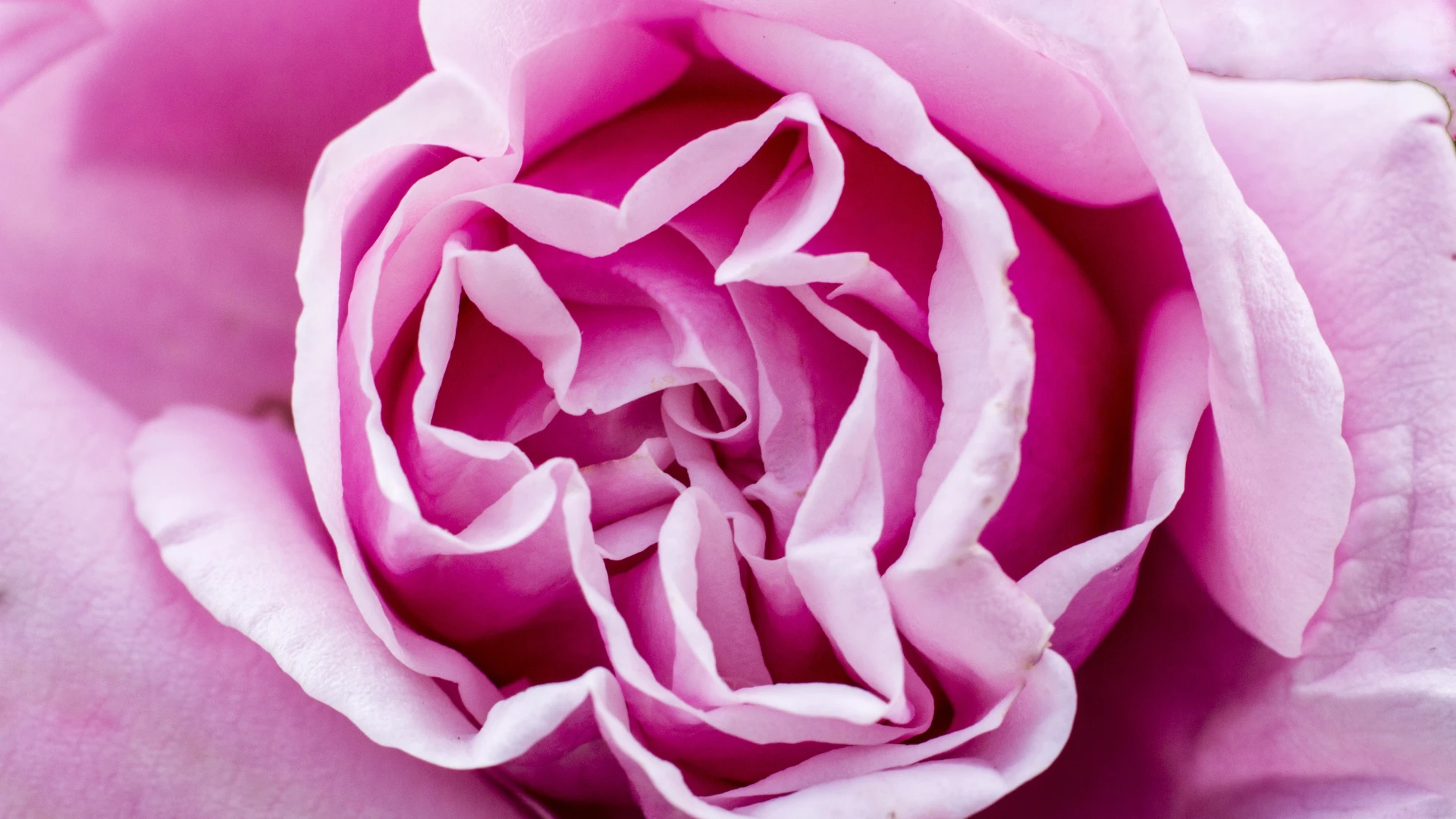 Як знайти точку G: чи справді існує точка G або зона G і як отримати ...